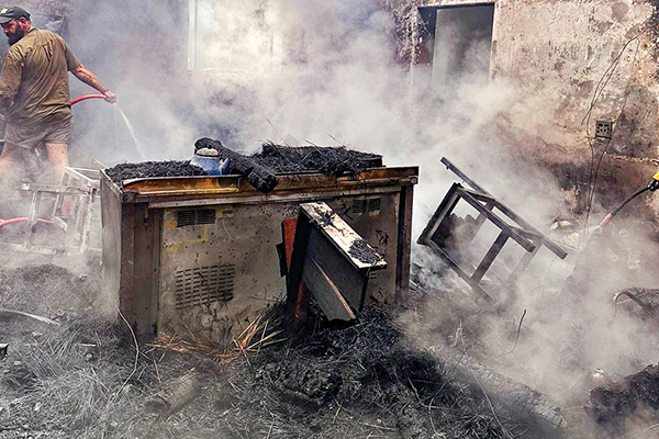 Platinum Bushvelder - WHEN LIGHTNING STRIKES - Headline News